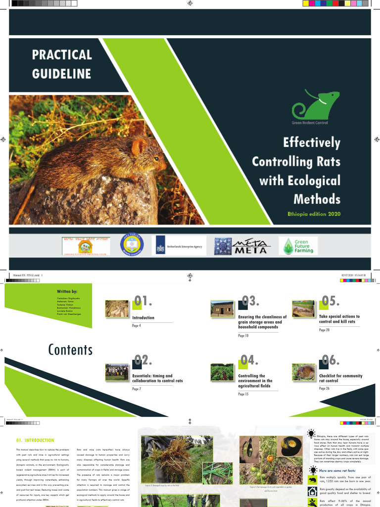 Manual - Rodent Control-English-print | PDF | Rat | Pest (Organism)