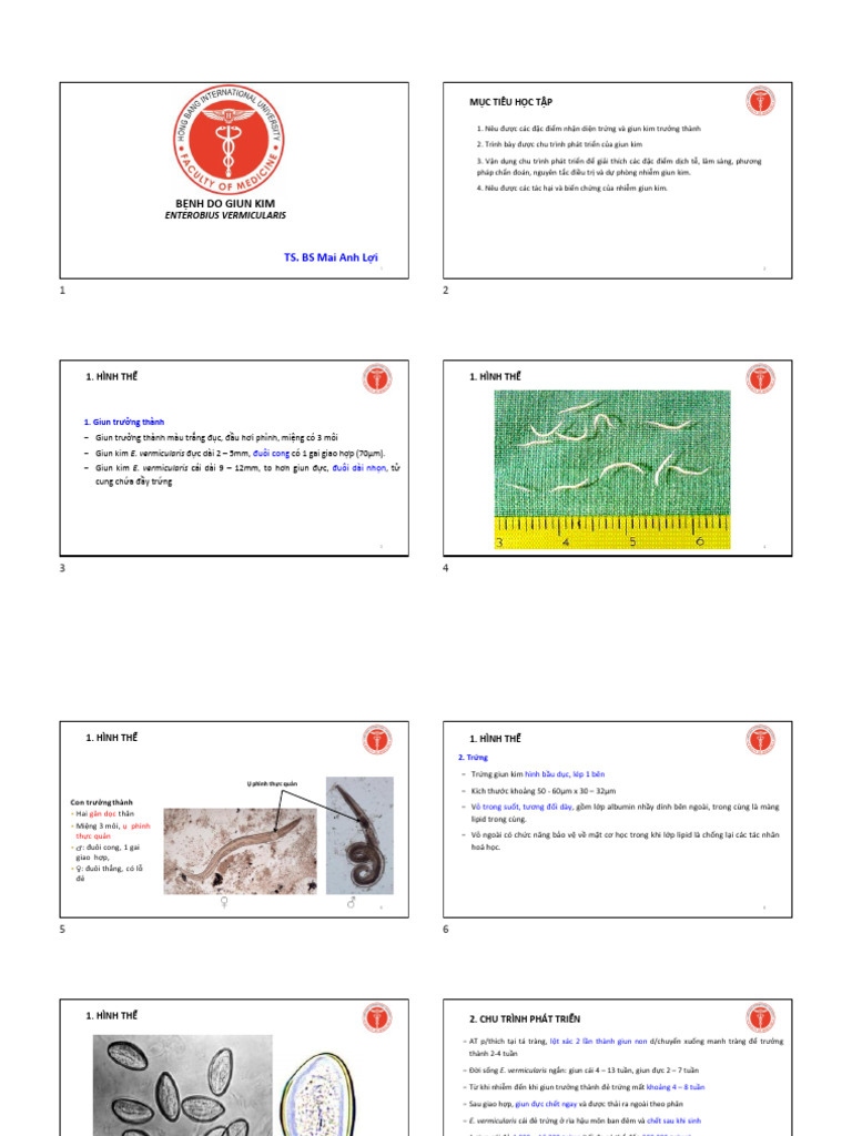 Giun Kim | PDF