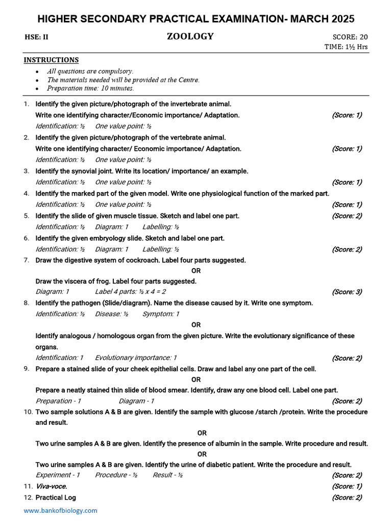 Zoology Practical Exam Guide 2025 | PDF | Lung | White Blood Cell