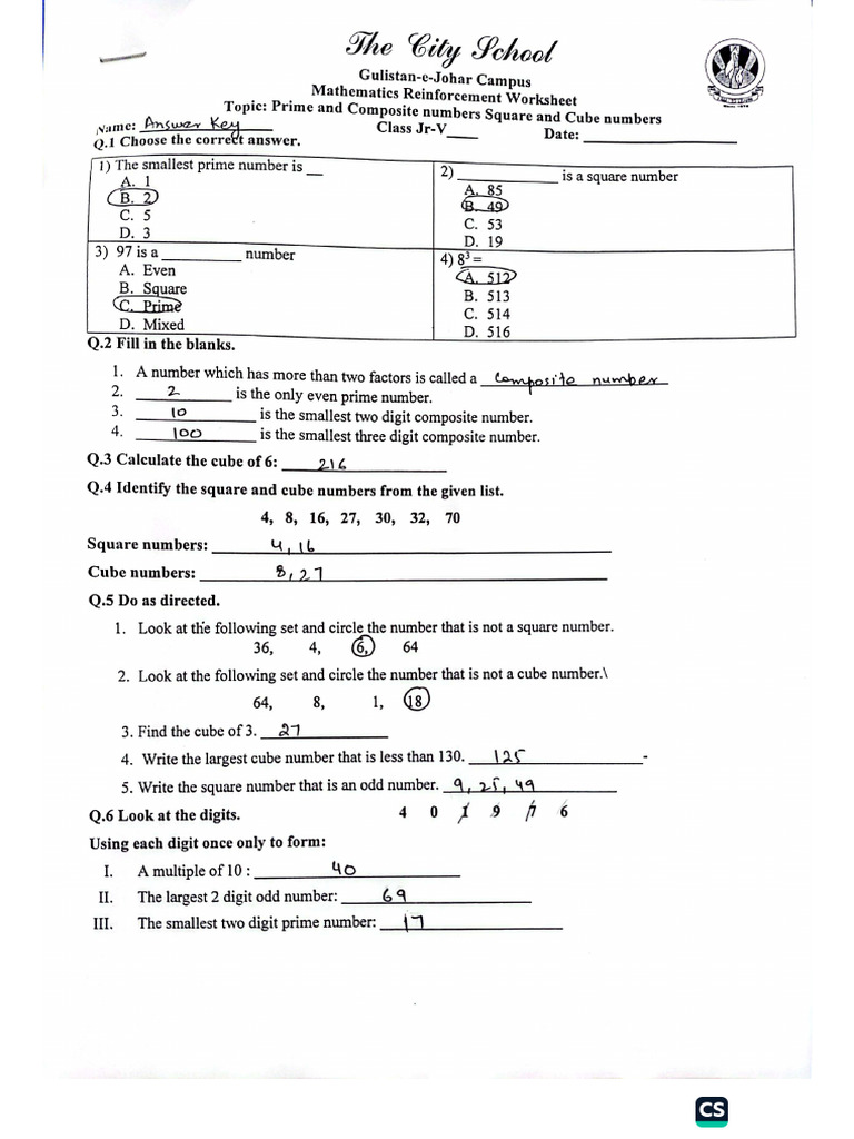 Solved Mathematics Reinforcement Worksheets, Grade 5 | PDF