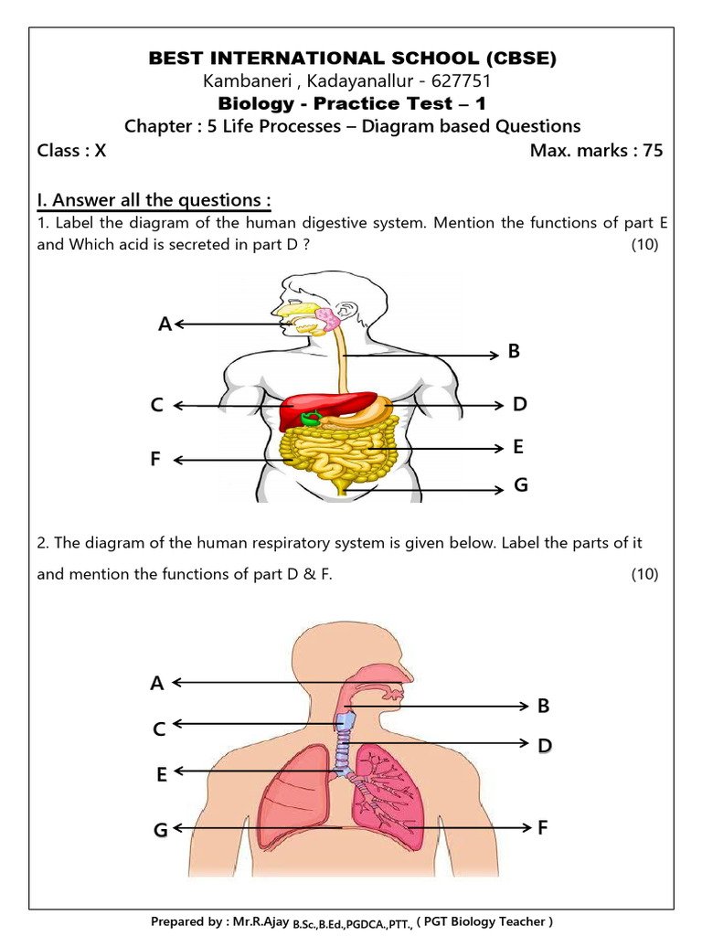 Biology Practice Test for Class X CBSE | PDF | Atrium (Heart)