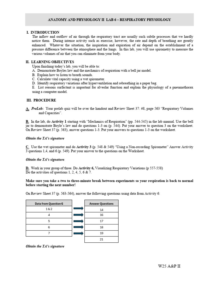 Respiratory Physiology Lab Activities | PDF | Respiratory System ...