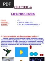 Class 10 Life Process Mind Map and Notes | PDF | Social Science ...