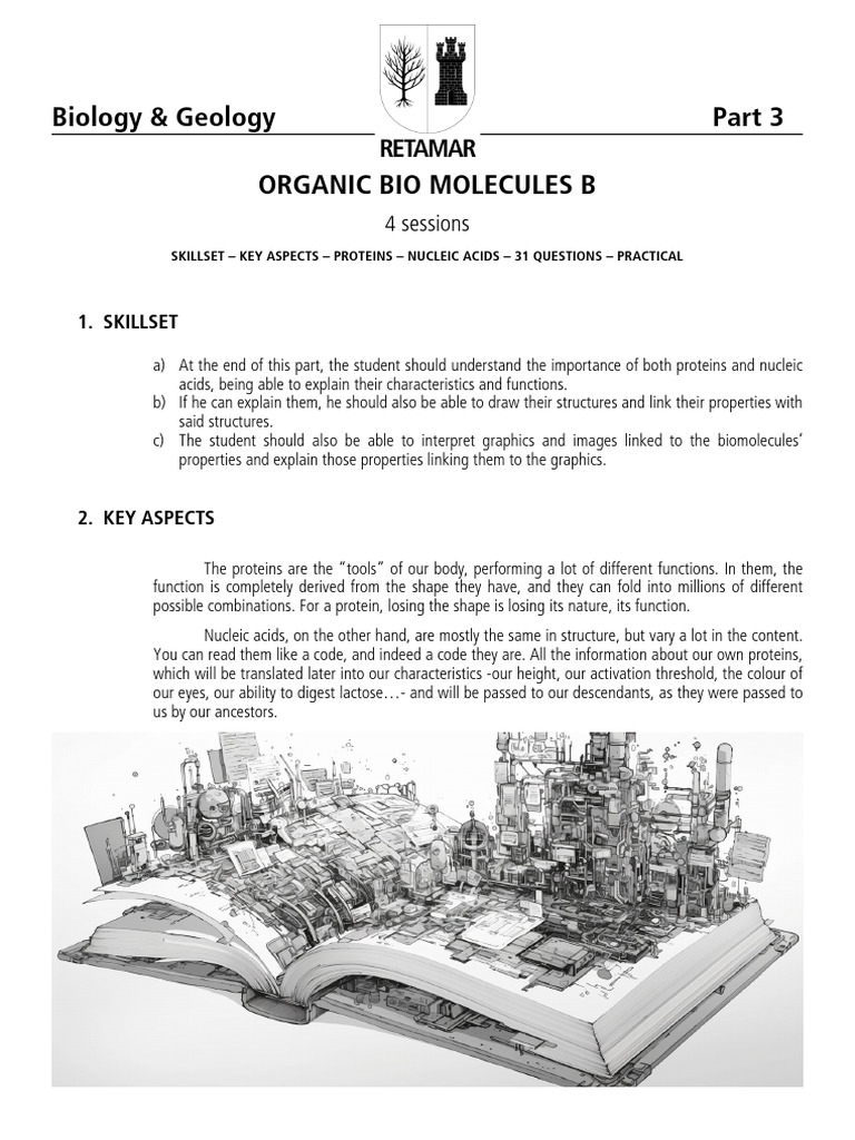 Organic Bio Molecules B | PDF | Nucleotides | Dna