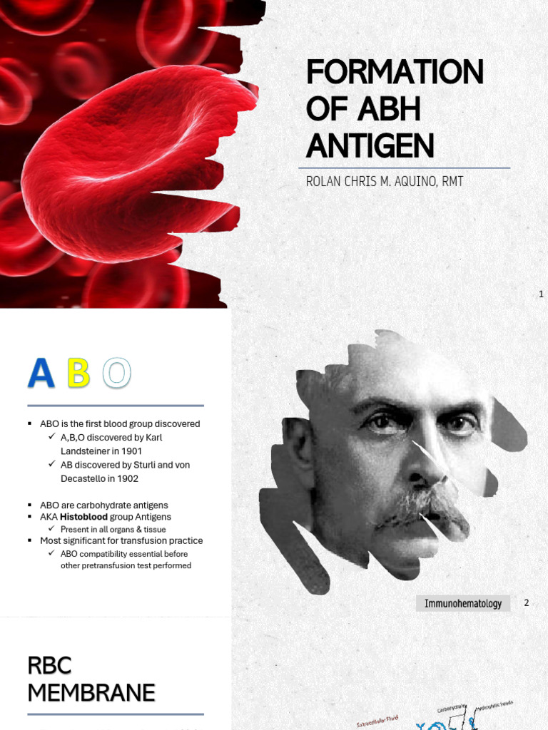 Formation of Abh Antigen - Students | PDF | Blood Type | Anatomy