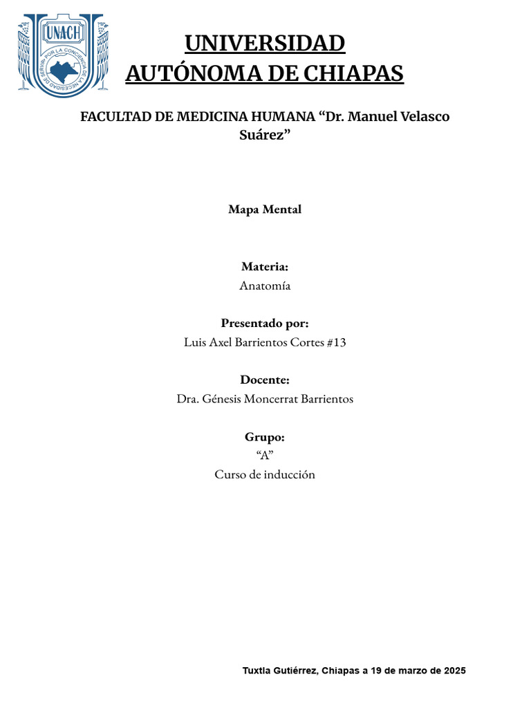 13 Barrientos Cortes. Luis Axel Anatomia Mapa Ment Corazón | PDF