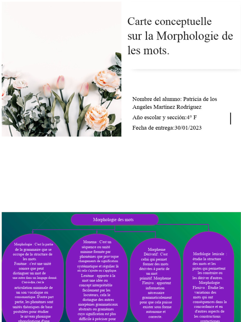 Morphologie des Mots : Concepts Clés | PDF | Morphologie (linguistique ...