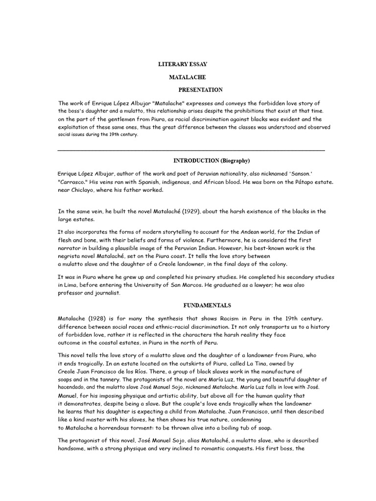 READING PLAN 4E ORANGE - LITERARY ESSAY Matalache | PDF