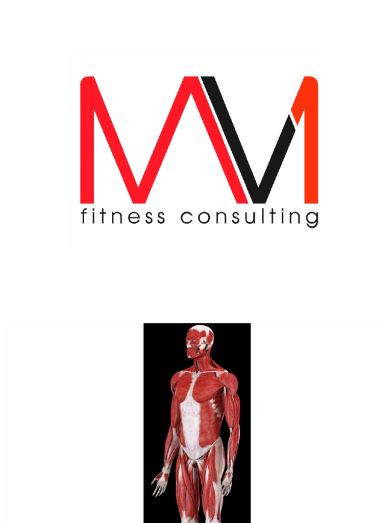 Kinesiology: Muscle Actions & Anatomy | PDF | Knee | Elbow