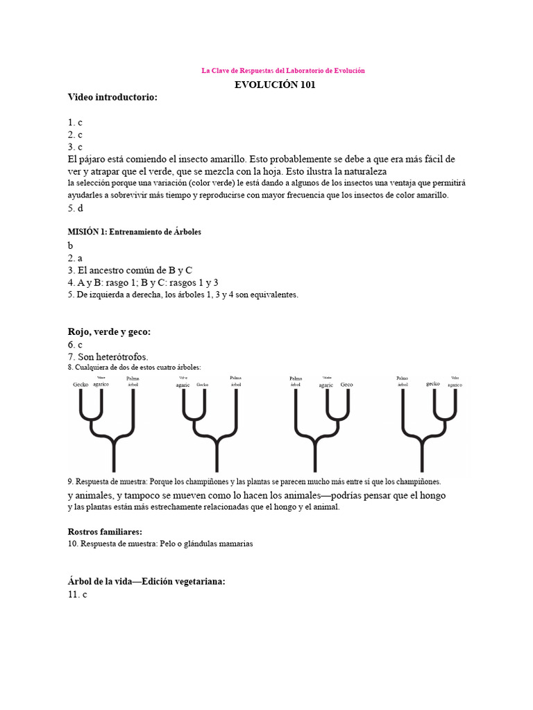 Nova Evolution Lab CLAVE DE RESPUESTAS Misiones 1-3 PDF | PDF ...