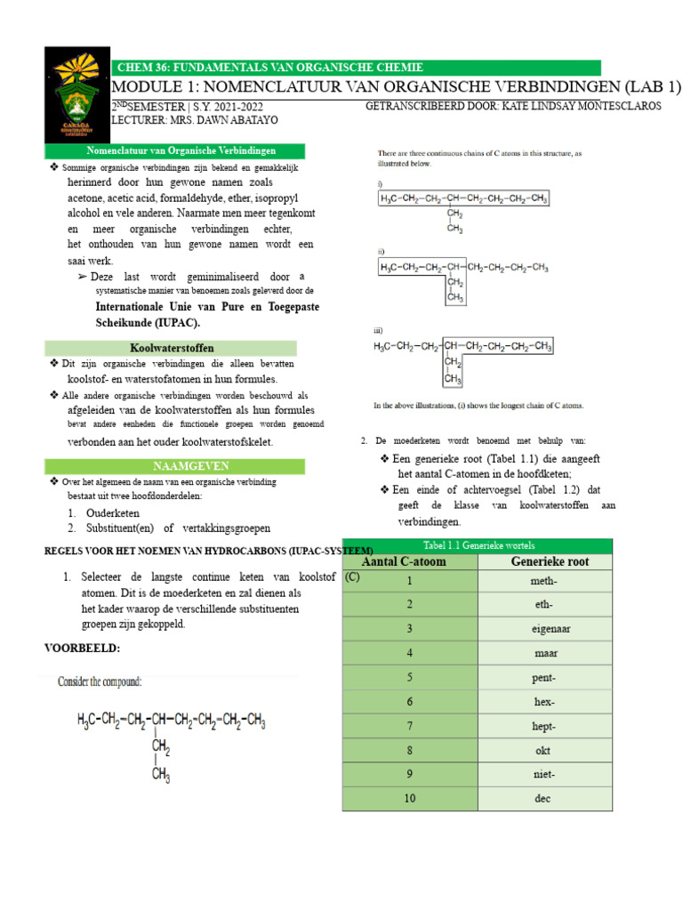 Module 1 - Nomenclatie Van Organische Compounden Lab 1 | PDF