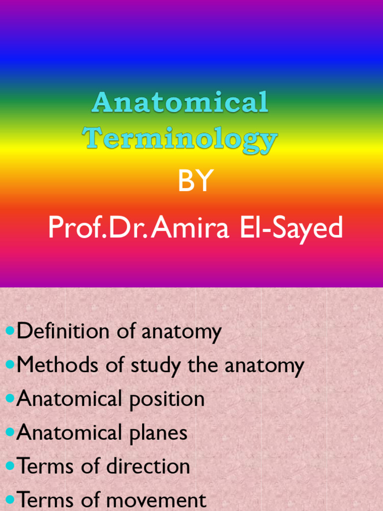 Anatomical Terminology (Autosaved) 250929 211707 | PDF | Anatomical ...