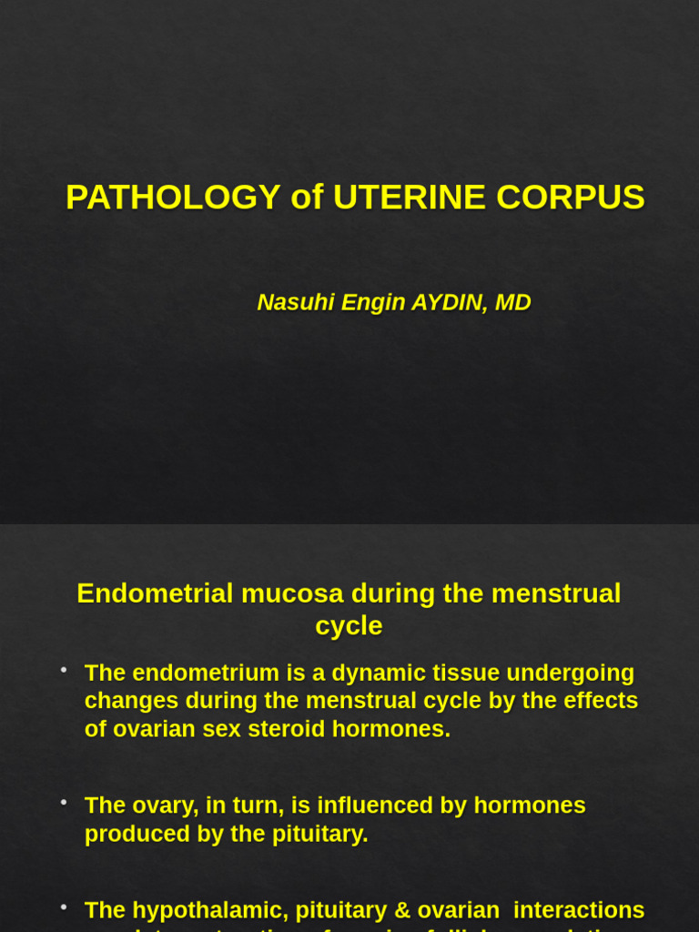 Uterine Corpus Pathology Overview | PDF | Menstrual Cycle | Uterus