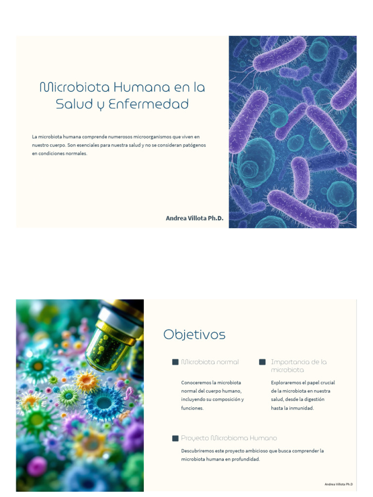 5.microbiota Humana | PDF | Sistema inmune | Biología