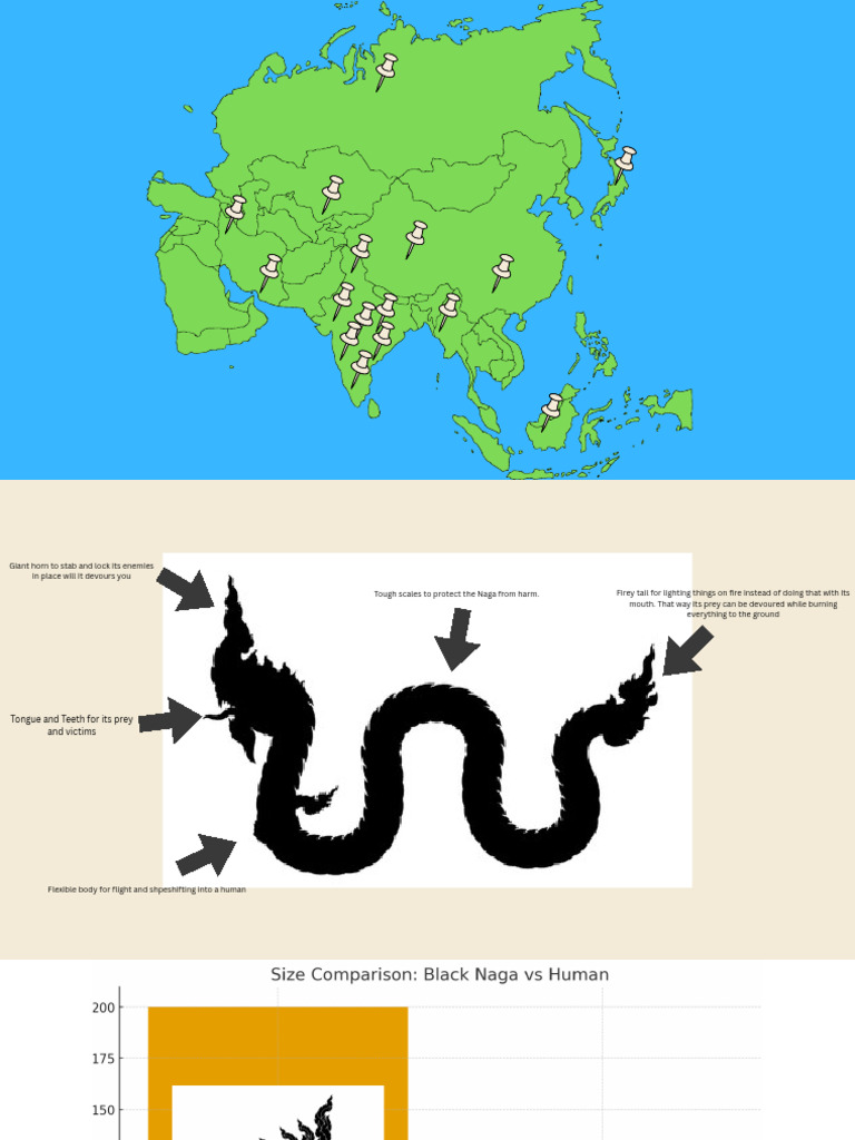 Naga Project | PDF