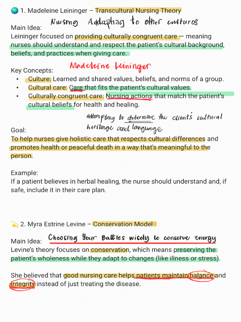 Leninger, Levine, Neuman Nursing Theorist | PDF