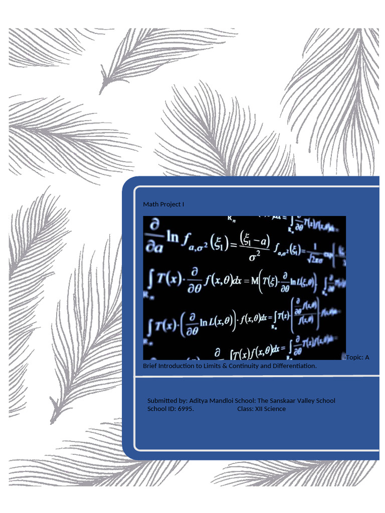 Math Project I Calculus - Aditya Mandloi | PDF | Derivative | Calculus