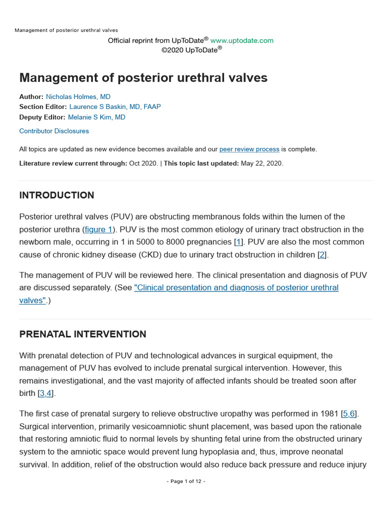 Posterior Urethral Valves Management Guide | PDF | Kidney | Medical ...