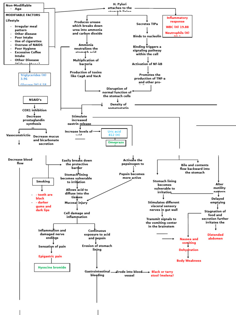 Patho Sweeney 2025 Acid Peptic 1 1 | PDF | Stomach | Inflammation