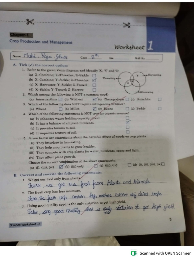 Science Class 8 | PDF