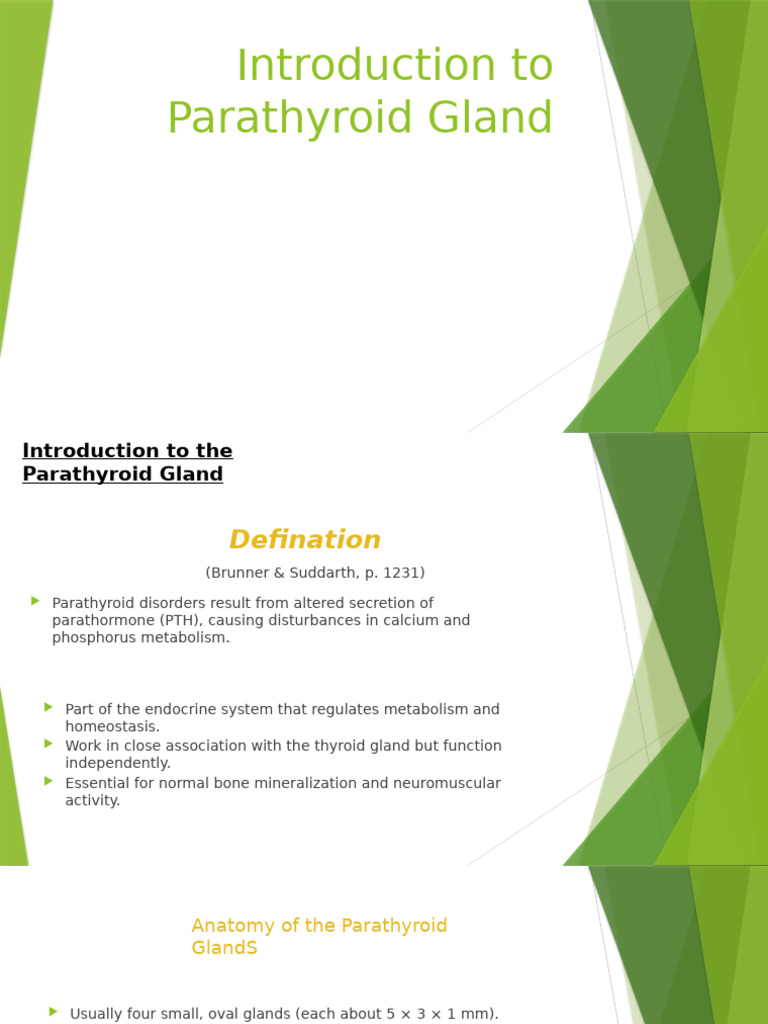 Presentation | PDF | Parathyroid Gland | Human Anatomy