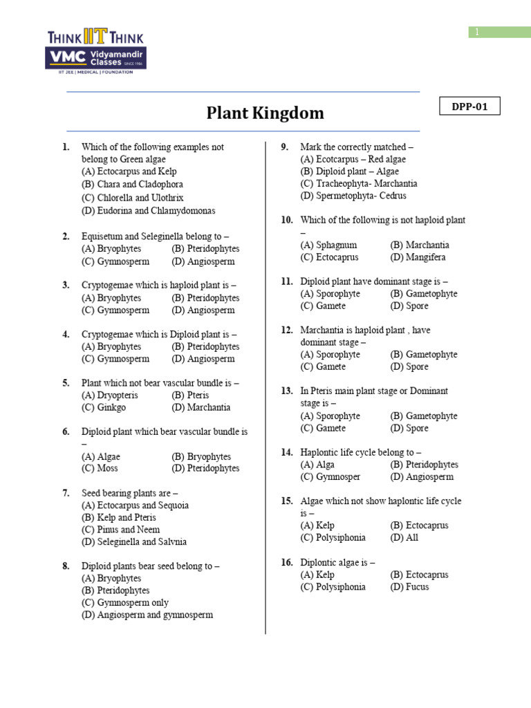 Plant Kingdom Quiz and Answers | PDF | Ploidy | Spore