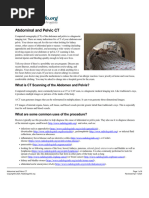 Understanding CT Intravenous Urogram | PDF | Ct Scan | Radiology
