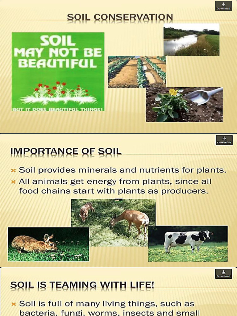 Topic 6 Soil Conservation | PDF