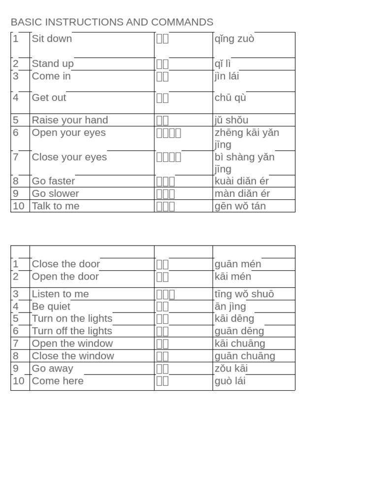Basic Instructions and Commands | PDF
