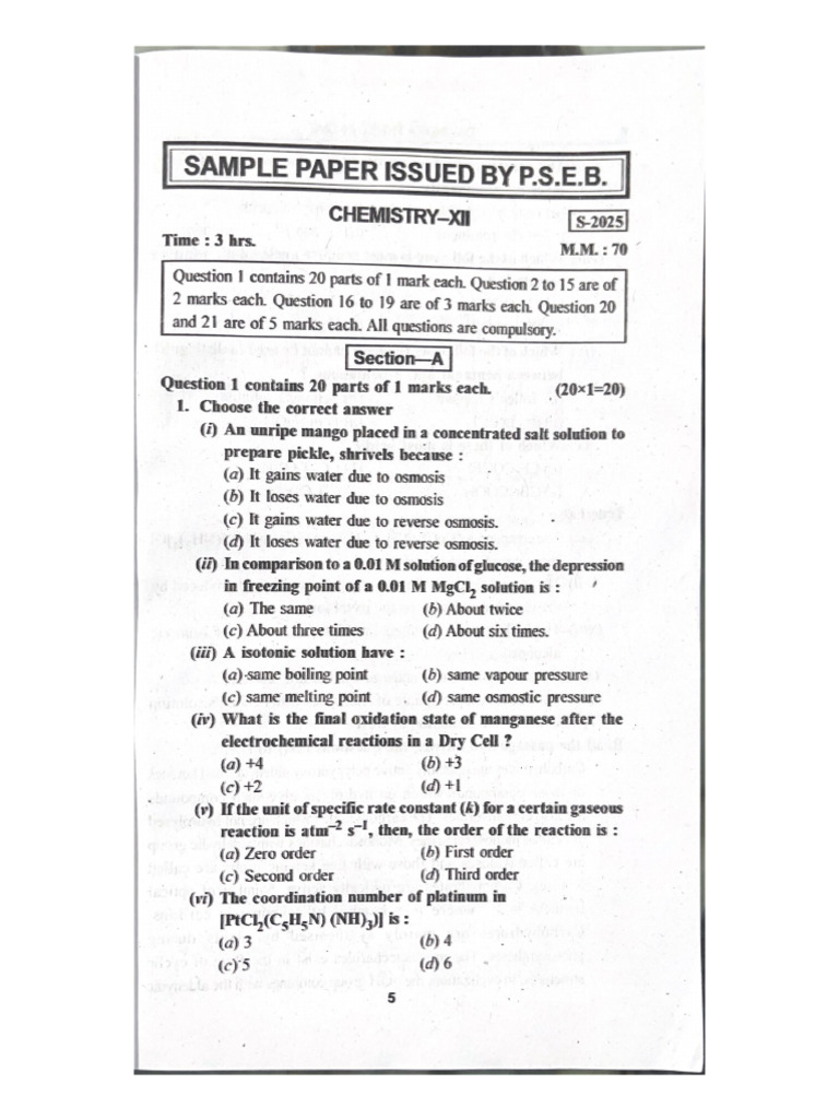 Sample Paper Issued by P.S.E.B. | PDF