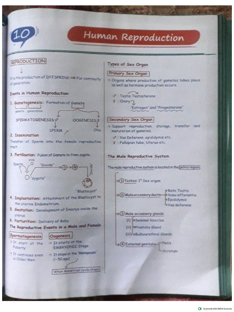 Zoology Med Easy by Samapti Mam 12 | PDF