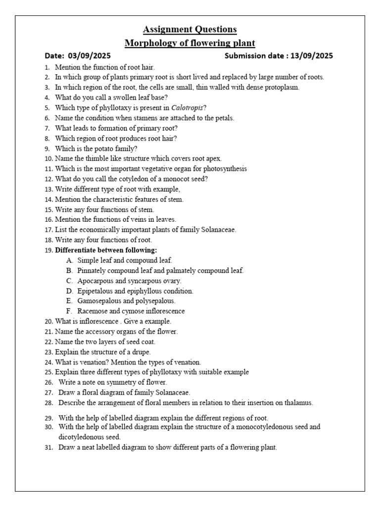 Assignment on Flowering Plant Morphology | PDF | Leaf | Flowers