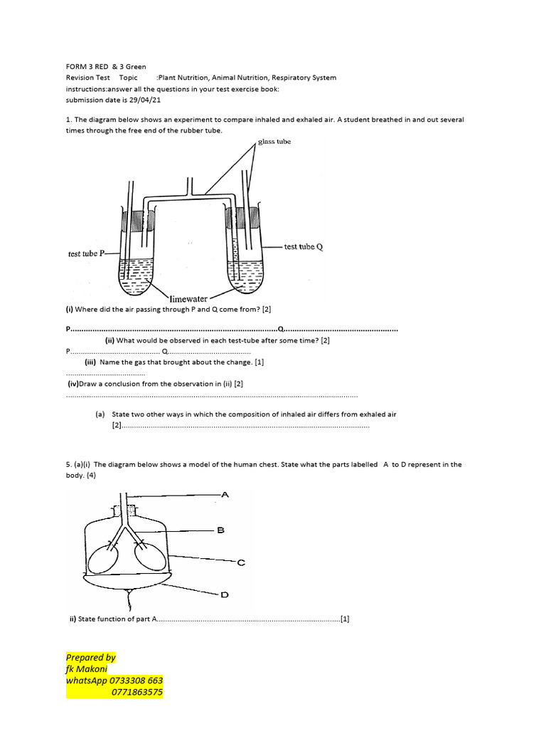 Plant and Animal Nutrition Test Guide | PDF | Breathing | Respiratory ...