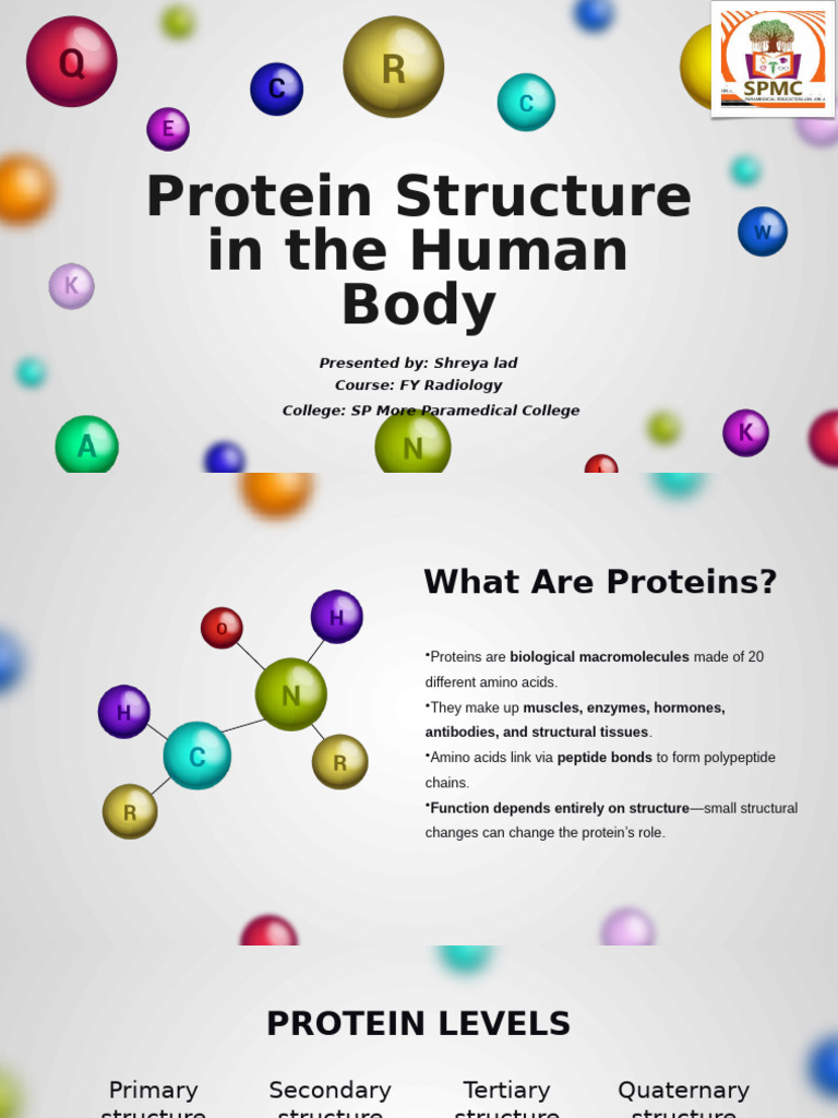 Understanding Protein Structure in Humans | PDF