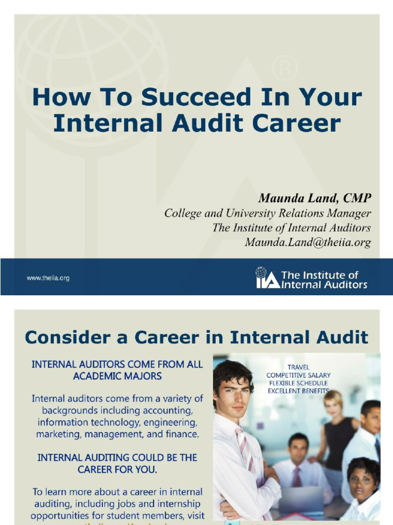 How To Succeed in Your Internal Audit Career | PDF