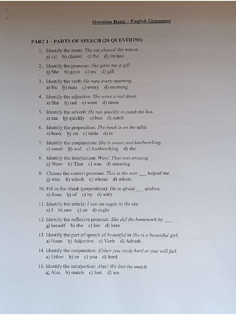 English Grammar Practice Questions | PDF