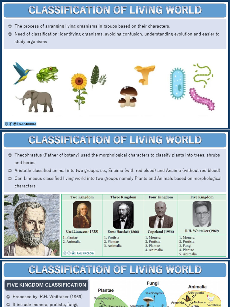 Classification of Living Organisms Explained | PDF | Biology ...
