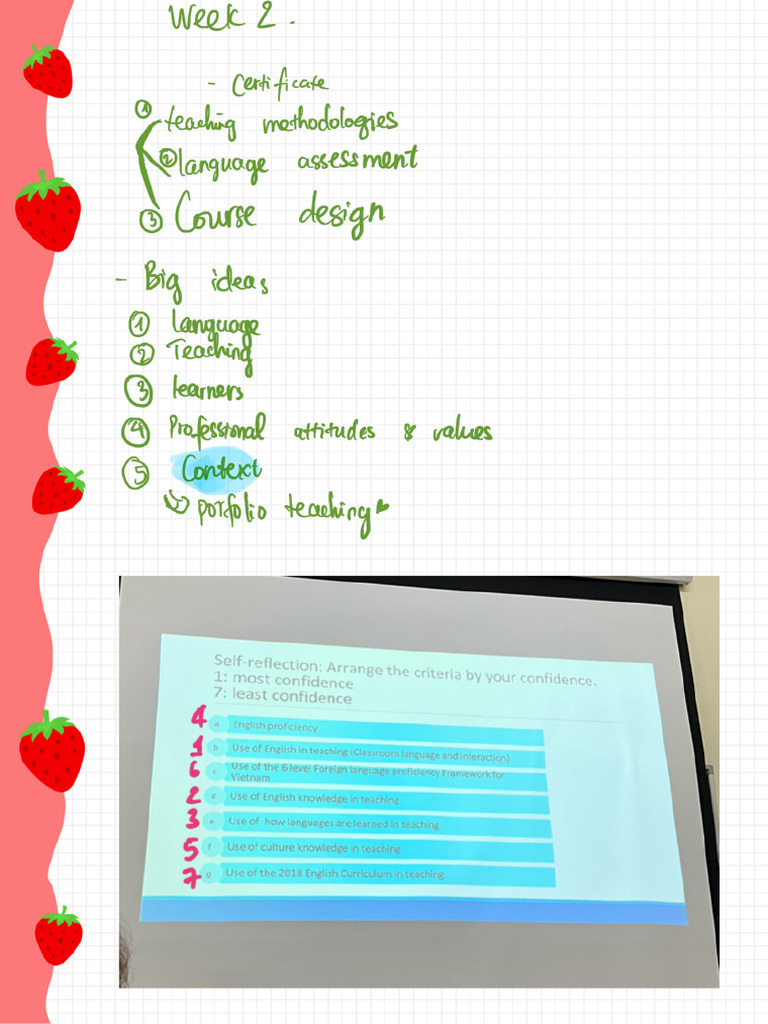 Strawberry | PDF