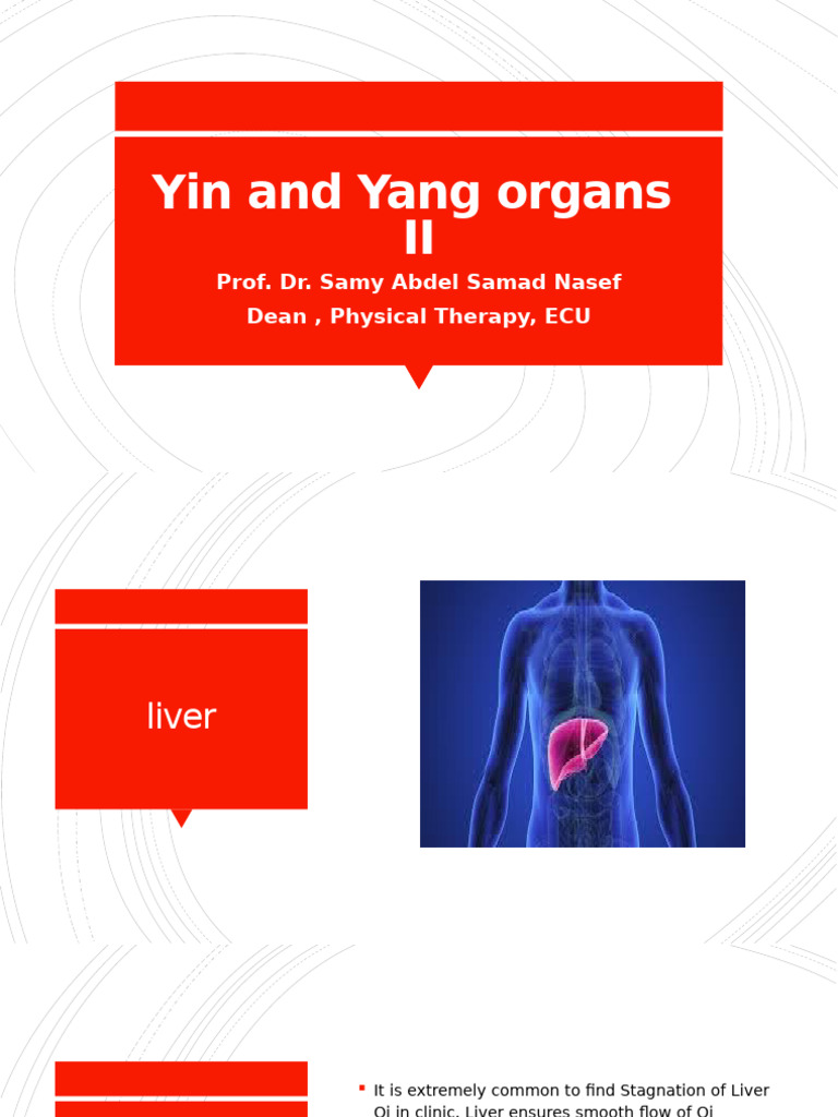 Functions of Liver and Kidney in TCM | PDF | Gallbladder | Bile