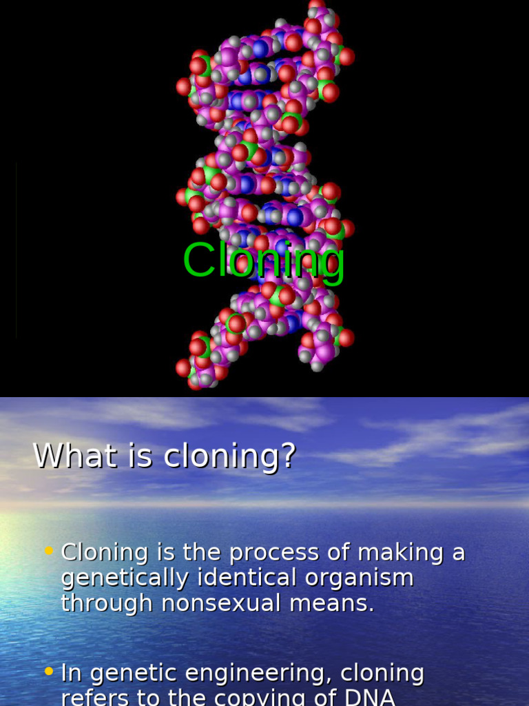 Understanding Cloning: Process & Impacts | PDF | Cloning | Bioethics