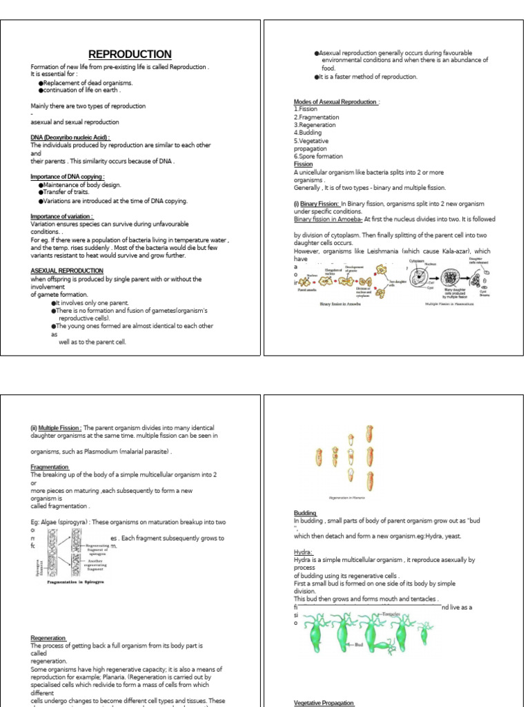 Types of Reproduction Explained | PDF | Flowers | Sexual Reproduction