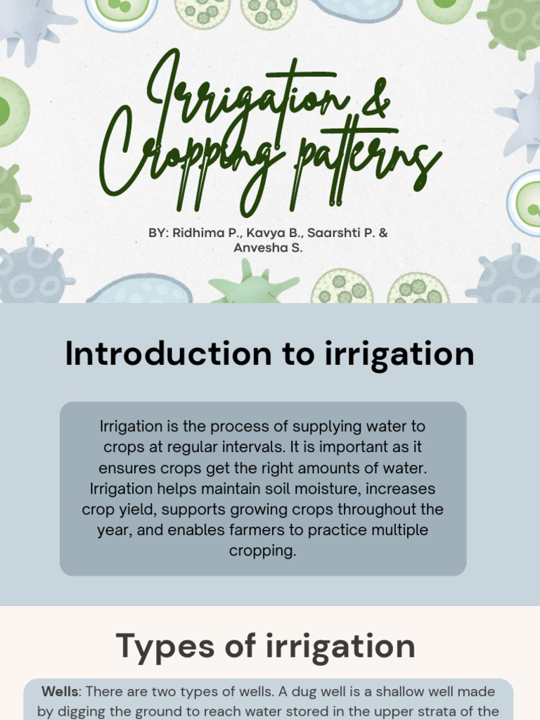 Irrigation Techniques and Cropping Patterns | PDF | Irrigation ...