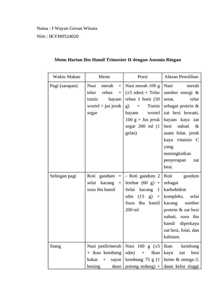 Menu Sehat Ibu Hamil Anemia II | PDF