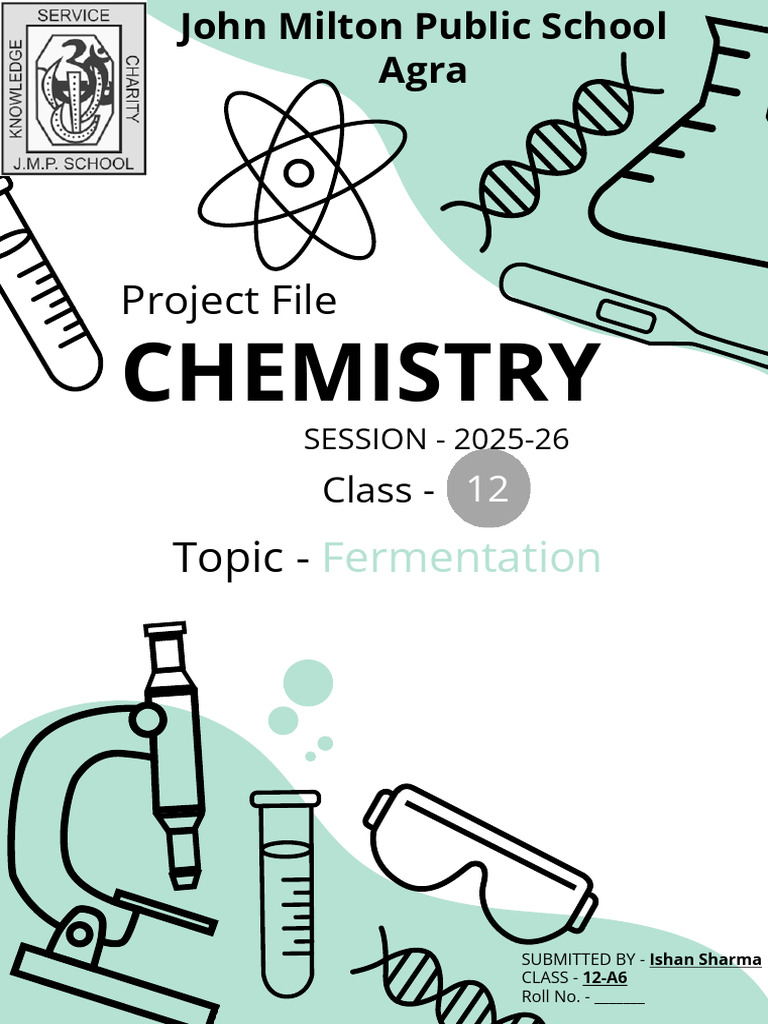 Chemistry Project Cover Page | PDF