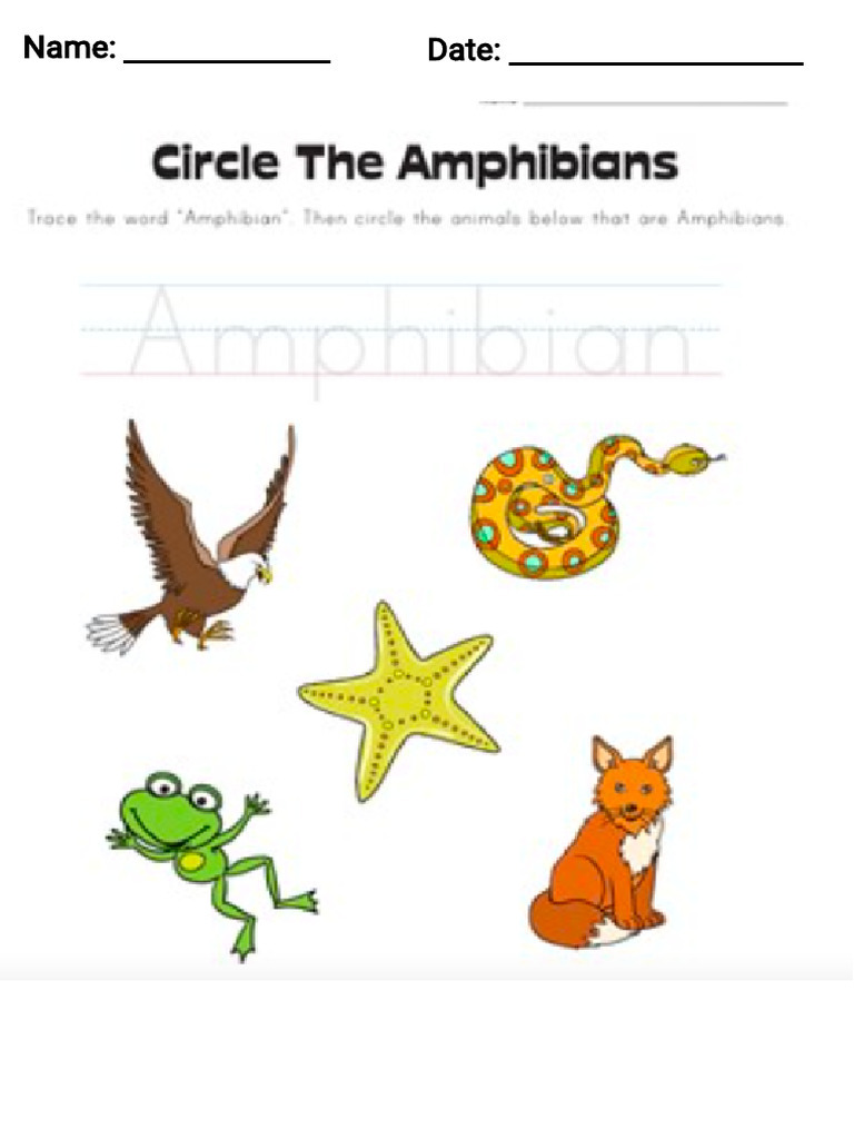 Assignment - Amphibians | PDF