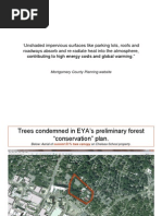 Nparks RNPB00006 | PDF | Trees | Shrub