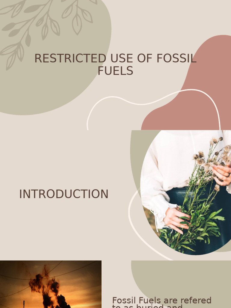Restricted Use of Fossil Fuels | PDF