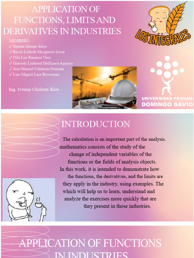 Derivatives and Functions in Industry | PDF | Function (Mathematics ...