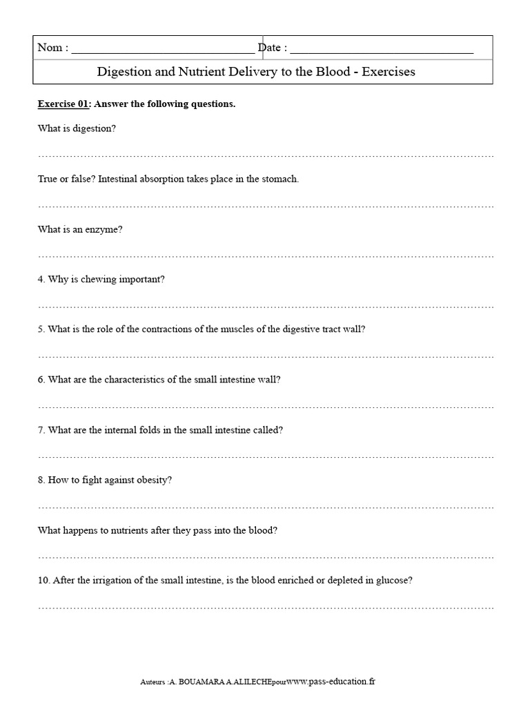 Digestion - Nutrient Supply in The Blood - 5th Grade - Corrected ...