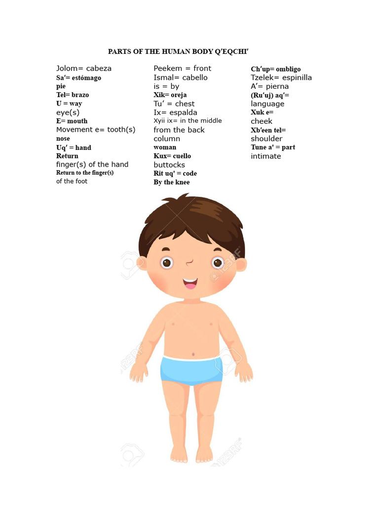 Human Body Parts in Q'eqchi' Language | PDF